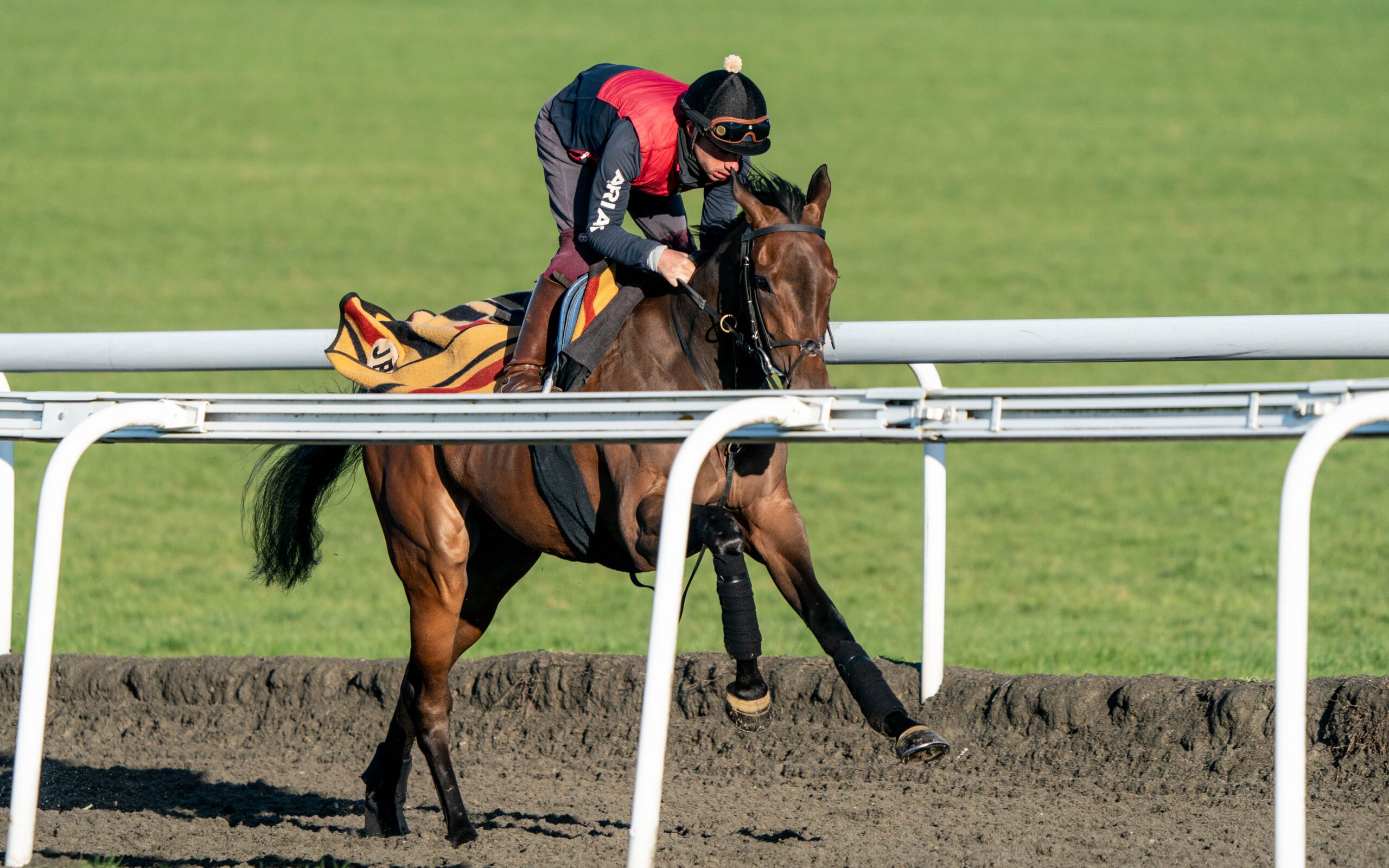 Gallery | James Ferguson Racing