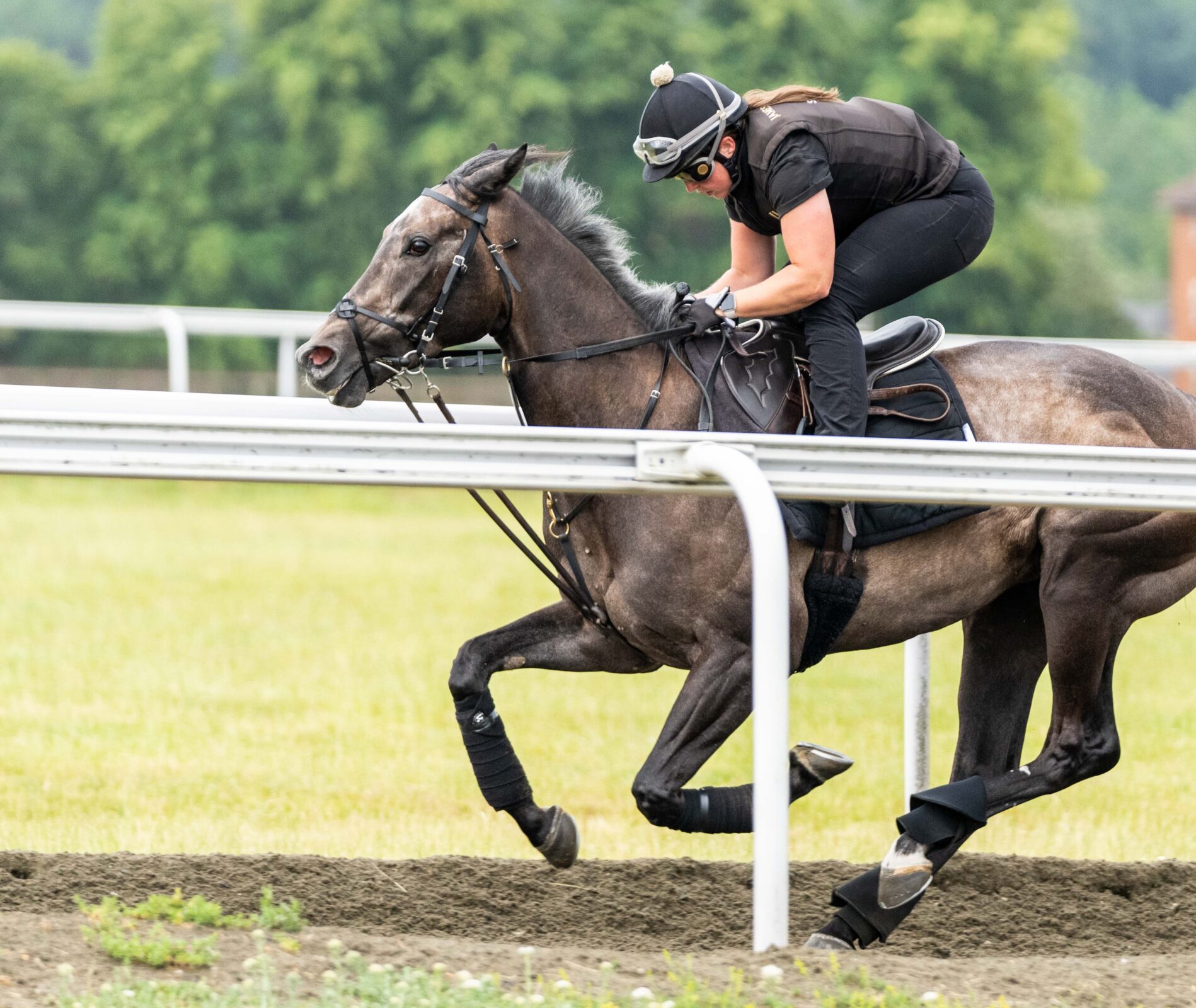 Gallery | James Ferguson Racing