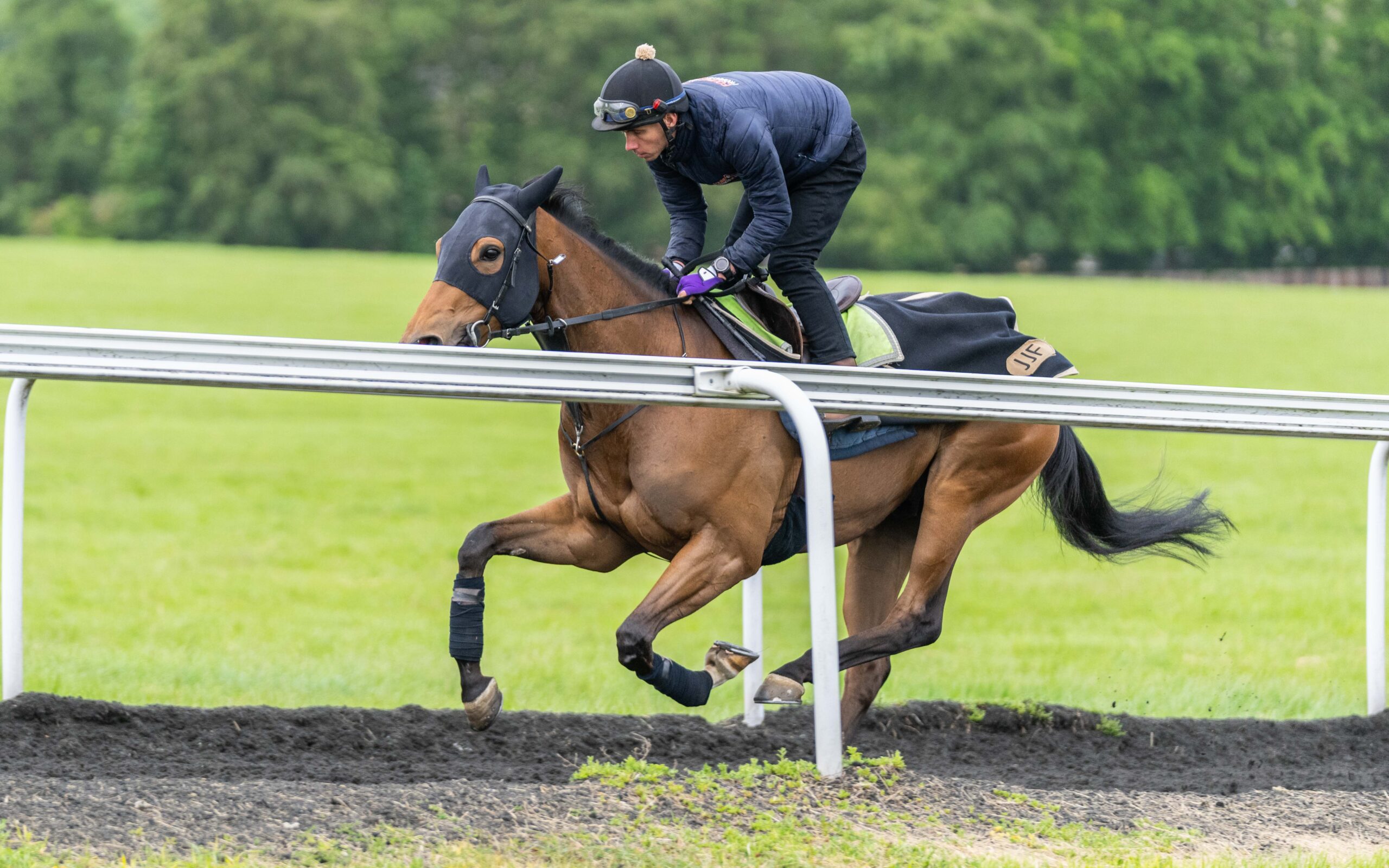 Gallery | James Ferguson Racing