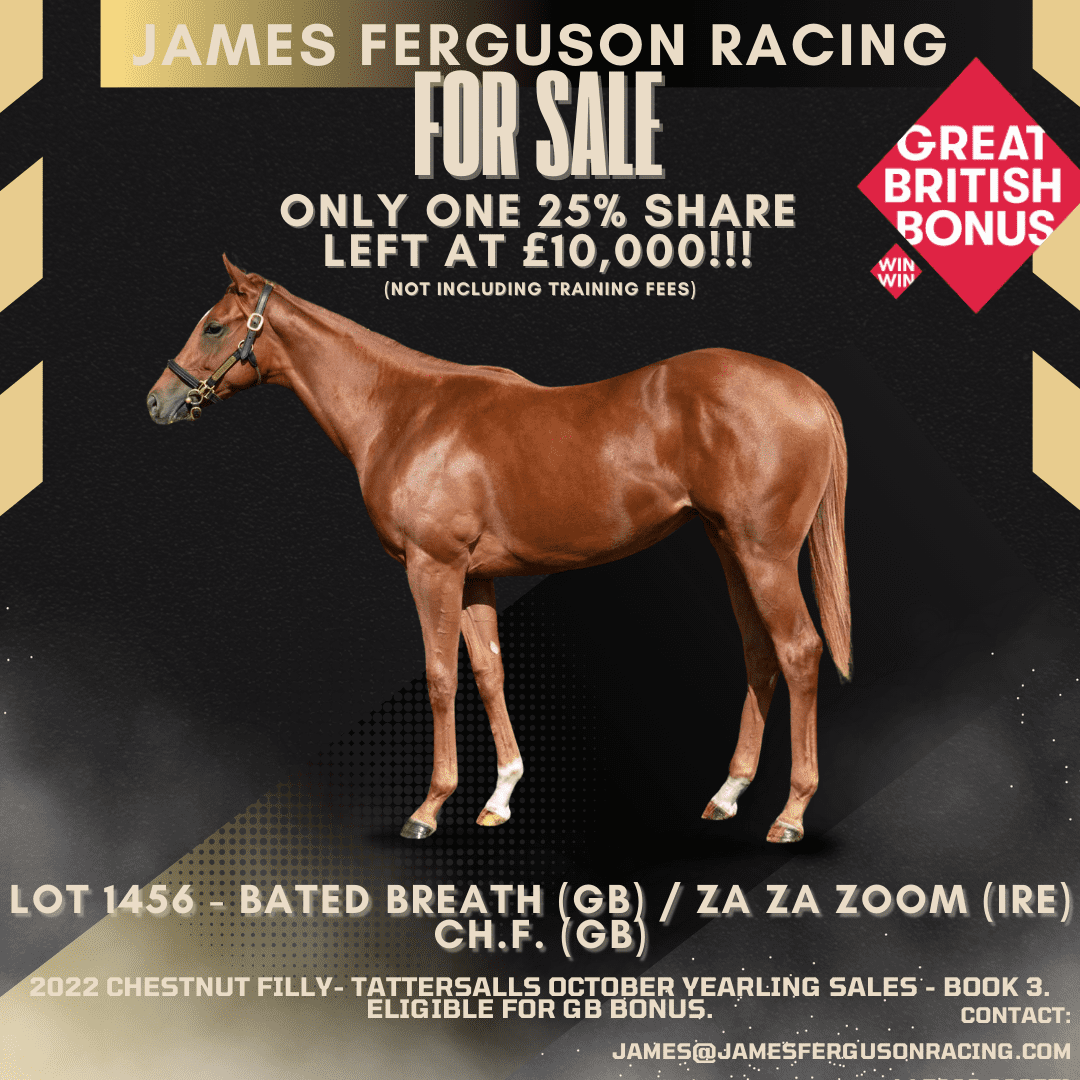 Ownership | James Ferguson Racing