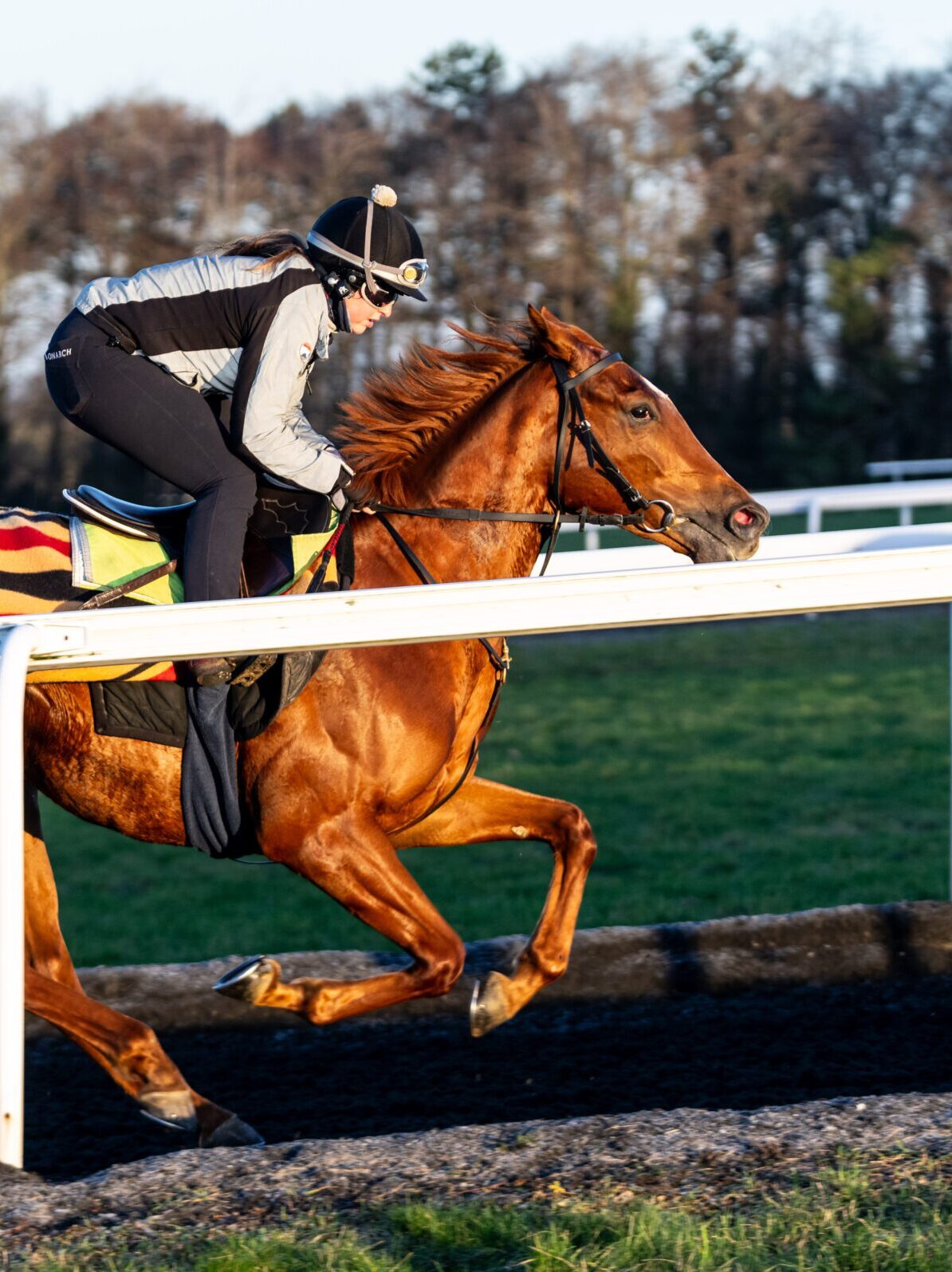 Gallery | James Ferguson Racing