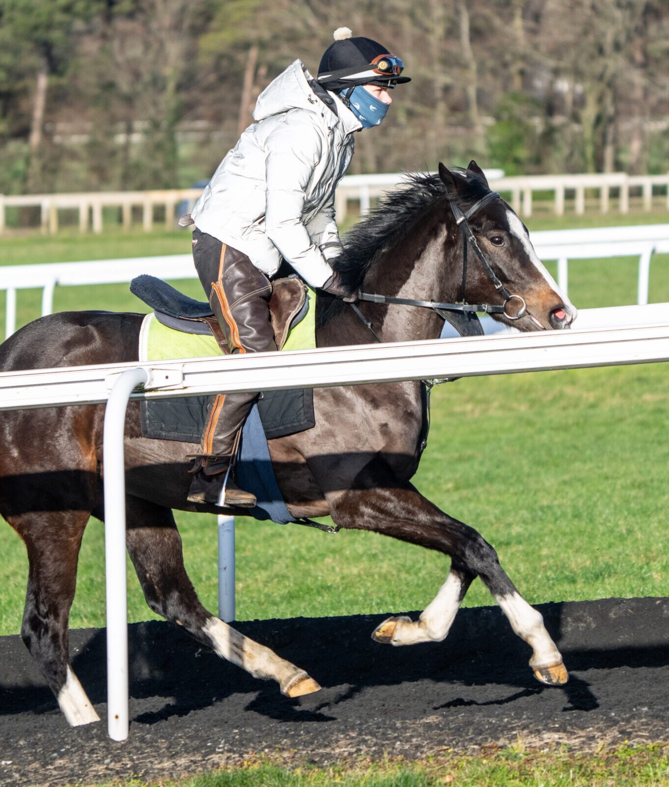 Gallery | James Ferguson Racing