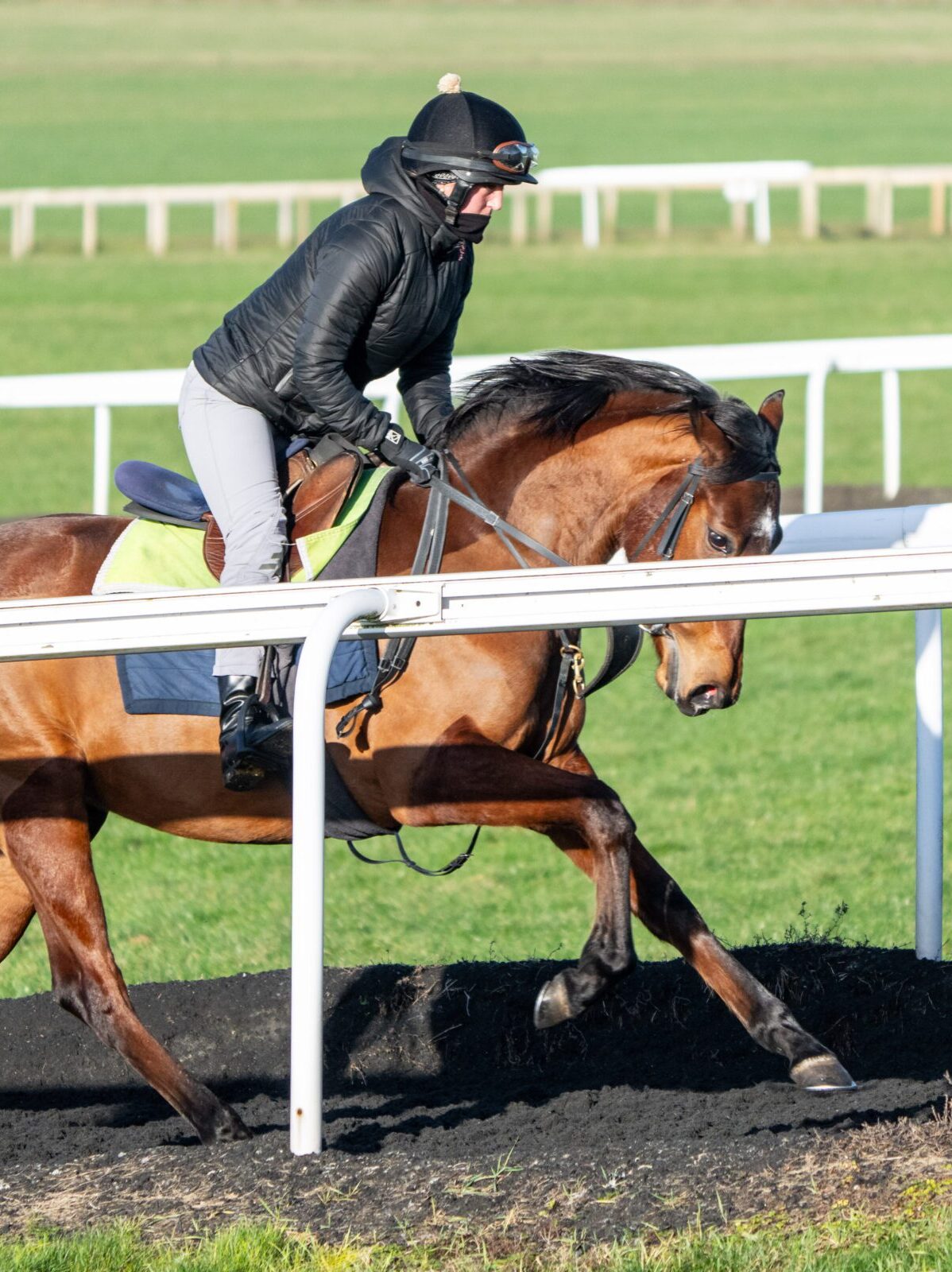 Gallery | James Ferguson Racing